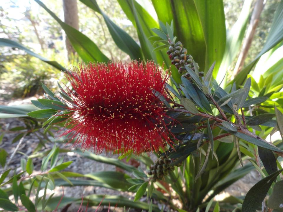 Garden Guide | Holts Prestige Gardens