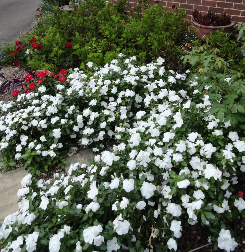 Garden Guide | Holts Prestige Gardens